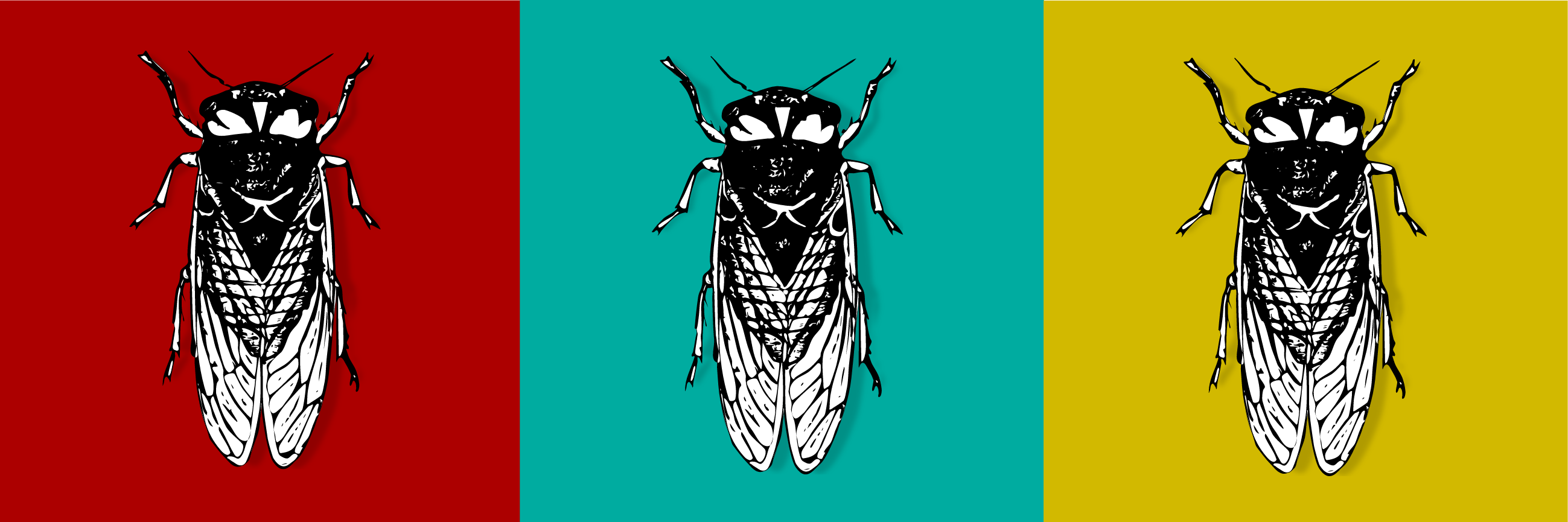 The Cicada Principle and Why It Matters to Web Designers (updated ...